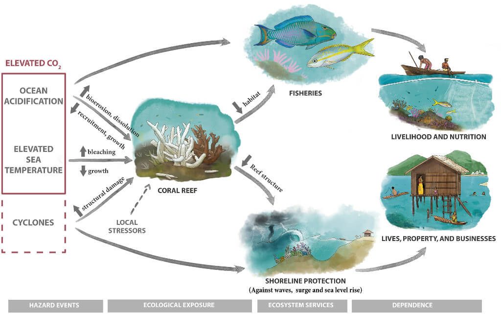 Where Can Science Make a Difference to People? – marine ecology consulting