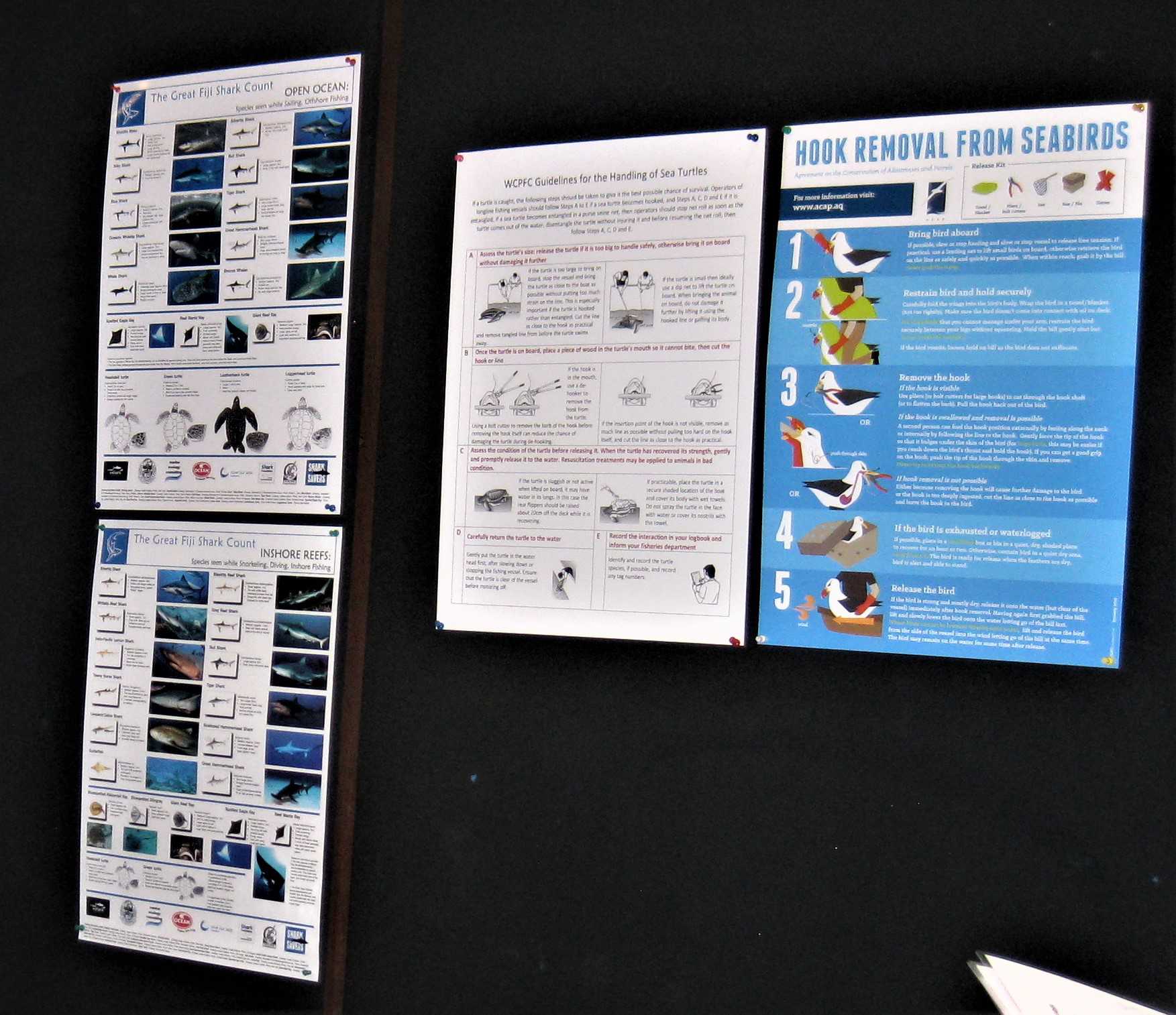 A good start to the New Year – Fiji’s Bycatch Guidelines & Bycatch ...