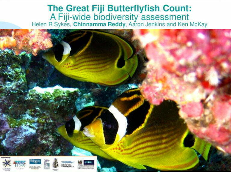 The Great Fiji Butterflyfish Count: A Fiji-wide biodiversity assessment ...