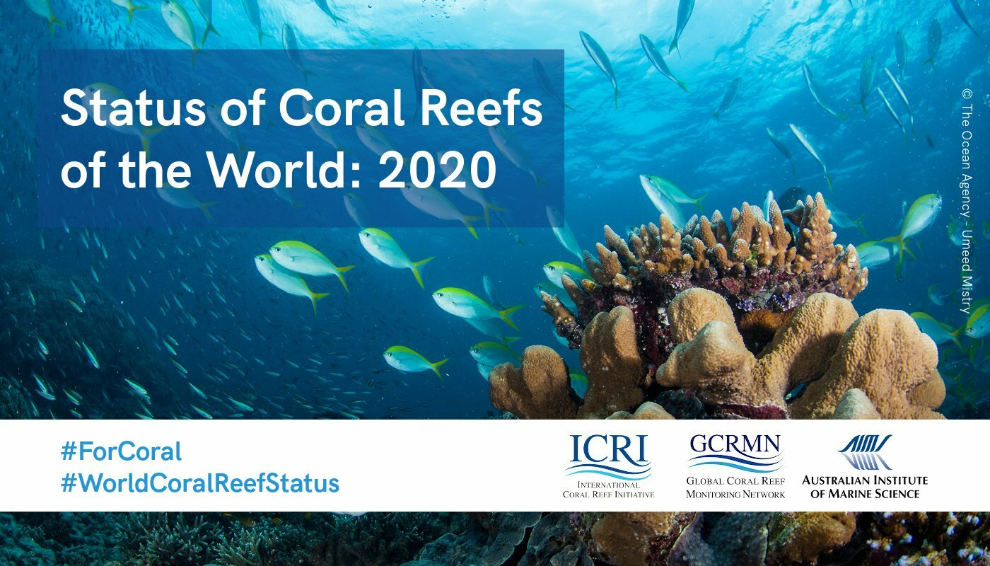 Status of Coral Reefs of the World Report: 2020 - marine ecology consulting