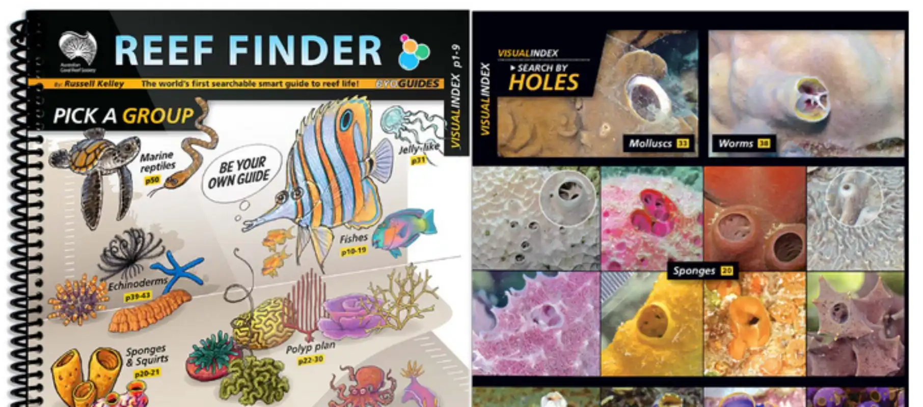 Some exciting new fish and marine life guides have been recently ...