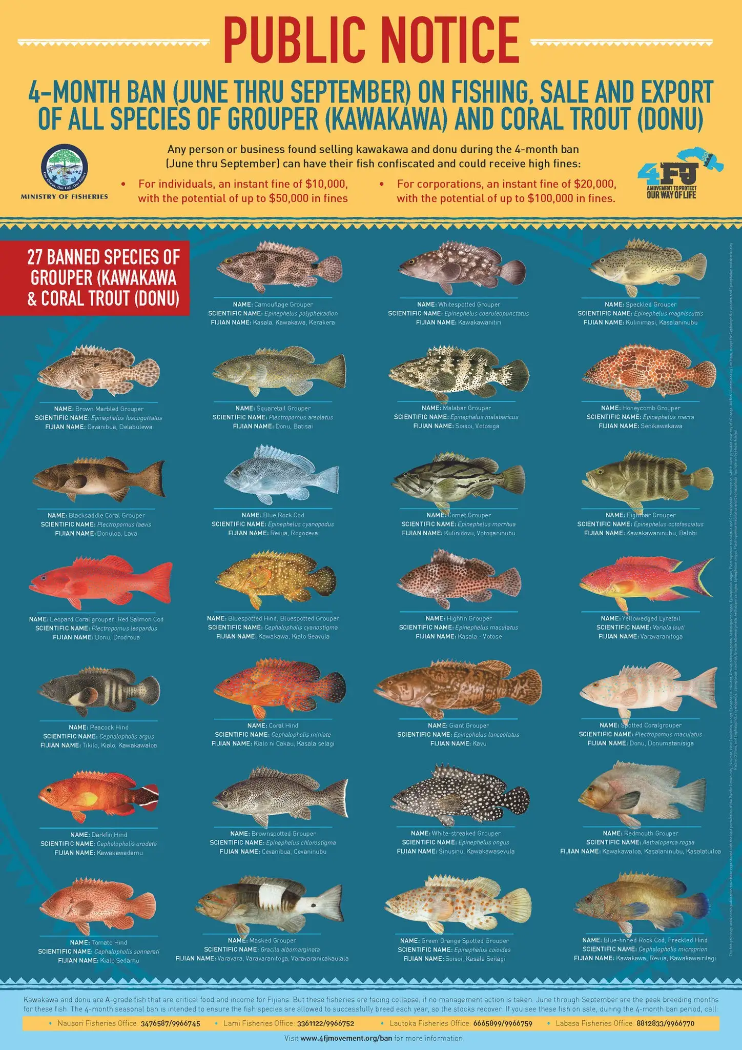 Seasonal Ban on Kawakawa and Donu: Protecting Fiji’s Vital Marine ...